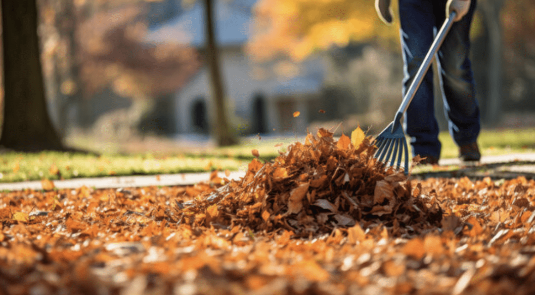 Seasonal Services Expert | Hawkins Landscaping Inc
